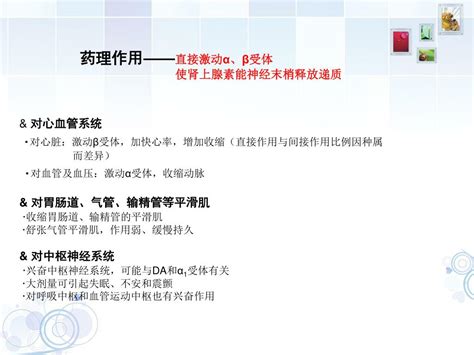 Ppt 麻黄碱 的简单介绍 Powerpoint Presentation Free Download Id 3654280