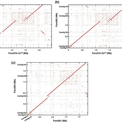 Contour‐clamped Homogeneous Electric Field Electrophoresis Revealed Download Scientific Diagram