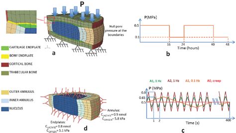 Fe Models Boundary Conditions And Loading Modes Used In The Present
