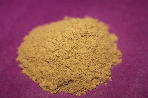 Solanum Xanthocarpum Kantakari Dry Extract Kisalaya Herbals