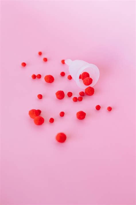 Pms 개념 건강 건강 관리 기간 꽃 꽃꽂이 꽃병 냅킨 높은 각도 대안 돌보다 로맨스 목조 미니멀리스트