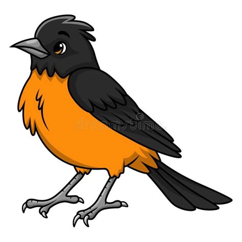 Oriole Baltimore Stock Illustrations 128 Oriole Baltimore Stock