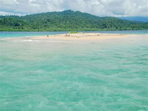Teluk Wondama Yang Berada Disebelah Raja Ampat