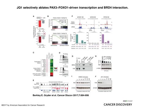 Jq1 Selectively Ablates Pax3foxo1 Driven Transcription And Brd4