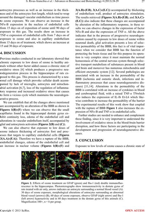 Chronic Exposure To Low Doses Of Ozone Produces A State Of Oxidative Stress And Blood Brain