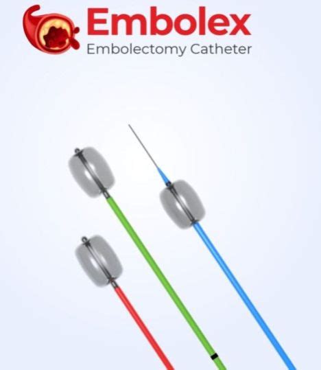 Embolectomy Catheter At Best Price In Hyderabad Id 7787071 Relisys