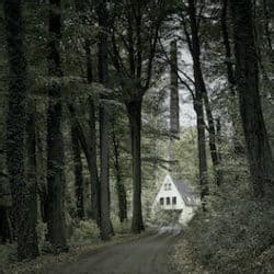 Bought A House With Problems Not Disclosed Good Move