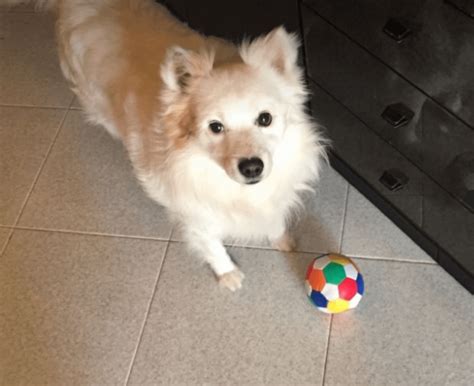 My Nephew 2yo Took A Picture With A Toy Camera And I Can Definitely