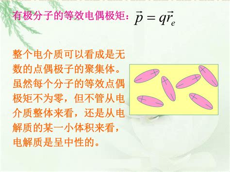 电介质及其极化完整
