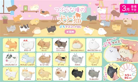 つぶらな瞳の犬と猫 Yell World｜エールワールド