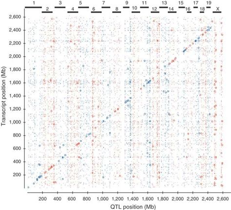 Mapping Qtls That Modulate Gene Expression In Hscsthe Variation In Download Scientific Diagram
