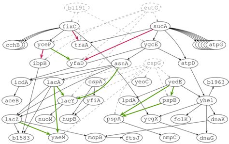 논문 리뷰 DeCaFlow A Deconfounding Causal Generative Model