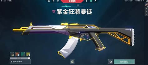瓦罗兰特中国港服等级：47，制式手枪 光炫声谱；恶灵 紫金狂潮；幻象 2022冠军赛；暴徒 离子圣芒，暴徒 紫金狂潮；近战武器 2022冠军赛