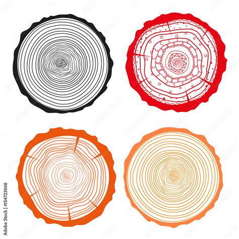 Tree Rings Set Of Cross Section Of The Tree Set Of Tree Rings On Isolation Background