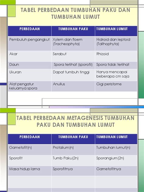 Perbedaan Lumut Dan Paku Pdf