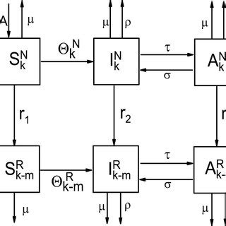 The Schematic Diagram Of The Complex Network Model The Population Of Download Scientific