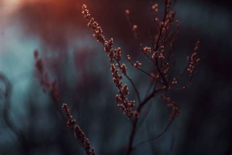 Taryn Lisa Emmett Photographer YouPic