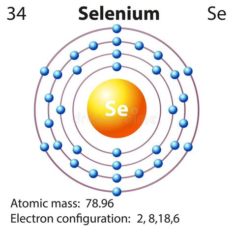 Símbolo Y Diagrama Del Electrón Para El Selenio Stock de ilustración