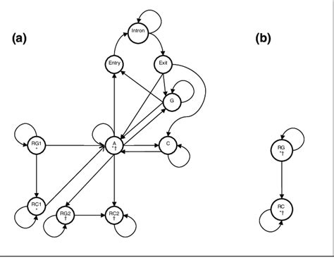 Pairhmm State Diagrams Of Pairagon A Alignment Model And B Null Download Scientific