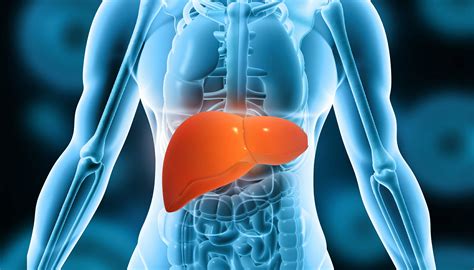 What Is Lysosomal Acid Lipase Deficiency Accessia Health