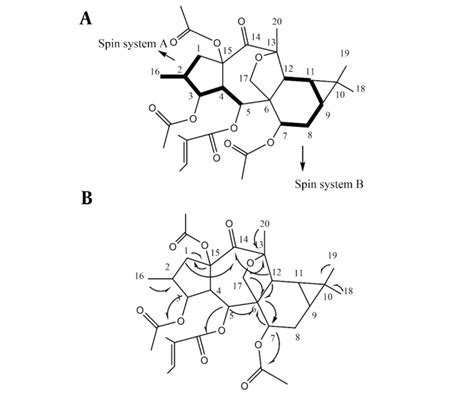 A 1 H 1 H Cosy Couplings And B Key Hmbc Correlations Of Compound 1