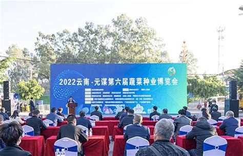 “跳出元谋看种业”——国家级制种大县研究谋划推进种业高质量发展商业动态中国网商务频道