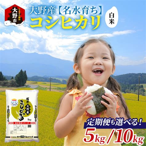 【楽天市場】【ふるさと納税】【令和6年産】大野産コシヒカリ（白米）【大野ブランド米 名水育ち】5kg 10kg お米 こしひかり コシヒカリ