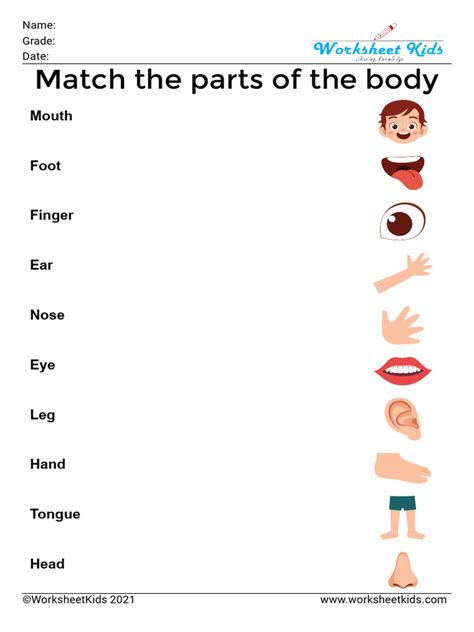 Match The Parts Of The Body 1 Pdf