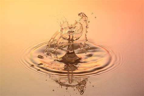 무료 이미지 하락 액체 유리 주황색 반사 스프레이 조명 자료 똑똑 떨어지는 물방울 소리 원 스케치 그림 삽화 물 특징 매크로 사진 주입하다