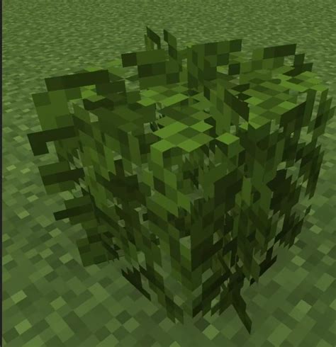 Leaves Rminecraft