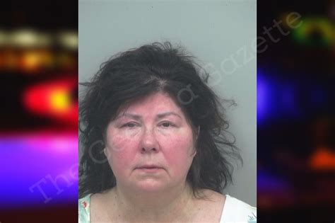 Carol Wroble Gwinnett County Jail Bookings