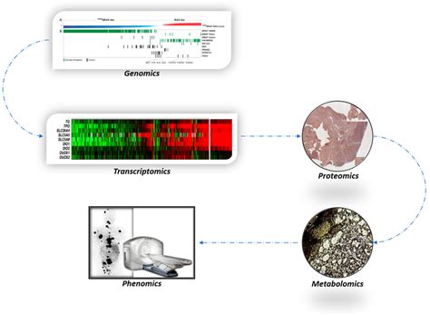 Genomics Is Predictive Of Transcriptomics And Transcriptomics Is