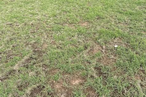 Само луѓето со очи соколови можат да ја забележат опасноста на сликата за помалку од 30 секунди