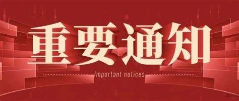 事业单位部分免笔试！2025山东事业单位公开招238人教育测试岗位