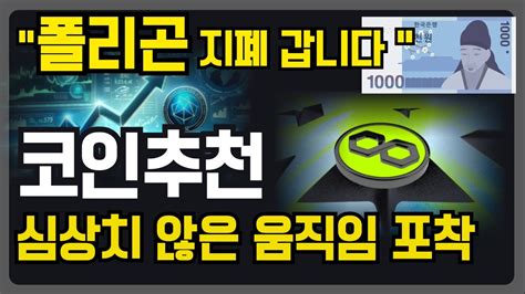 코인추천 폴리곤 리플 에이다를 이을 메이저코인 심상치않다 지금부터 가격 상승 나옵니다 폴리곤전망 Youtube