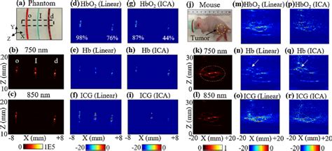 USPA Simulation Aided Unsupervised PA Spectral Unmixing For A A