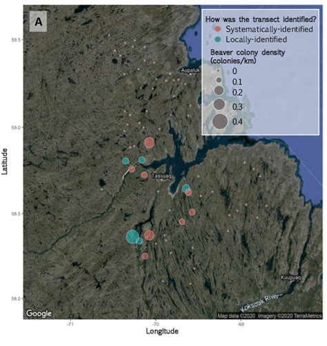 Map A And Dot Plot B Of Colony Density Within Locally Identified