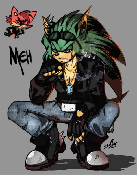Stylized Scourge Sonic The Hedgehog Know Your Meme