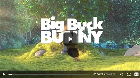 Npmreact Html5video Skypack