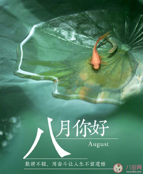 2023七月再见八月你好的最新图片说说 2023七月再见八月你好说说句子 八宝网