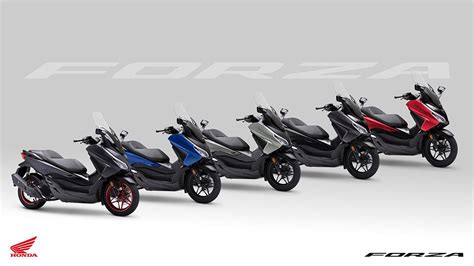 New Colours For 2024 Honda Adv350 Forza 125 And Forza 350 Motorcycle