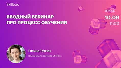 Вводный вебинар про процесс обучения Youtube