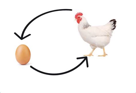 Making Sense Of Granger Causality In EEG Sapien Labs Shaping The