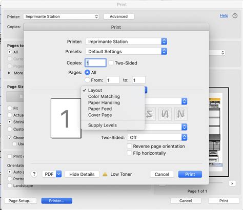 Print Dialog Box