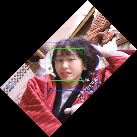 opencv人脸检测旋转处理 姜小豆 博客园