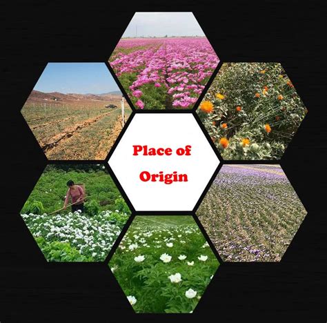 Wholesale Chinese Single Herbal Huang Qi Dried Mongolian Milkvetch Root