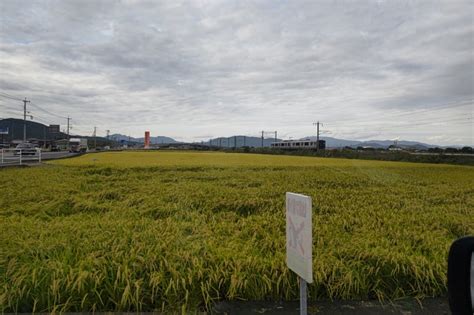 竜王で817 アルビレオな日々