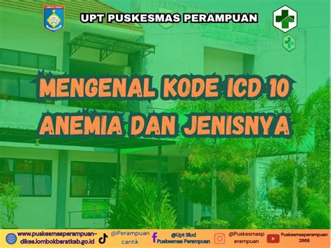 Puskesmas Perampuan Mengenal Kode Icd 10 Anemia Dan Jenisnya