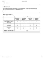 Dihybrid Fruit Fly Cross Pdf Laboratory Simulation Student Megan