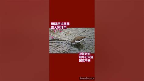 20240208 小年夜跟大家拜年 恭喜發財 龍年行大運 闔家平安 Youtube